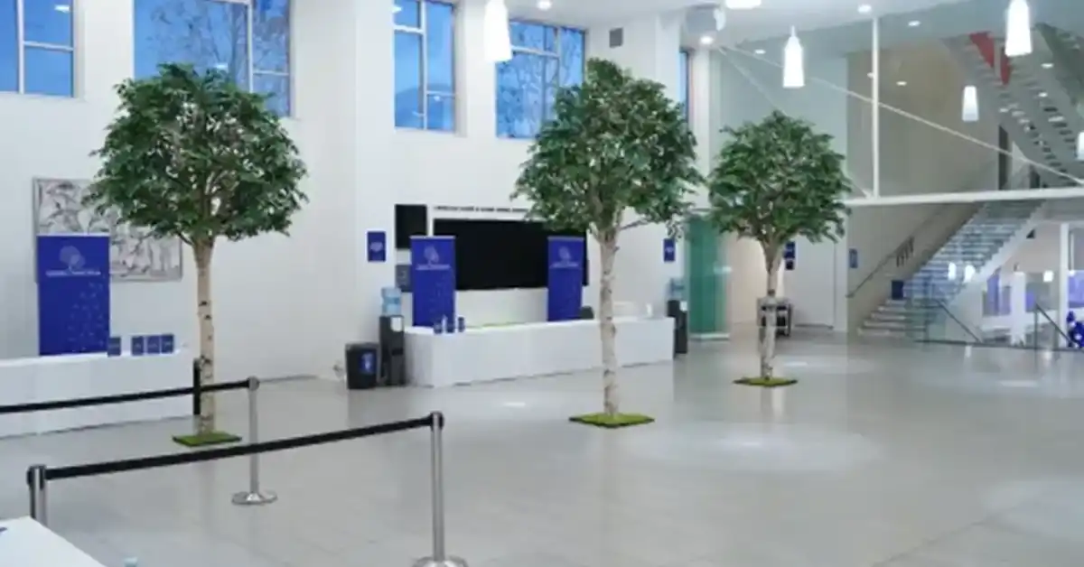 Leje af kunstige birketræer til elegant indretning | Læs her