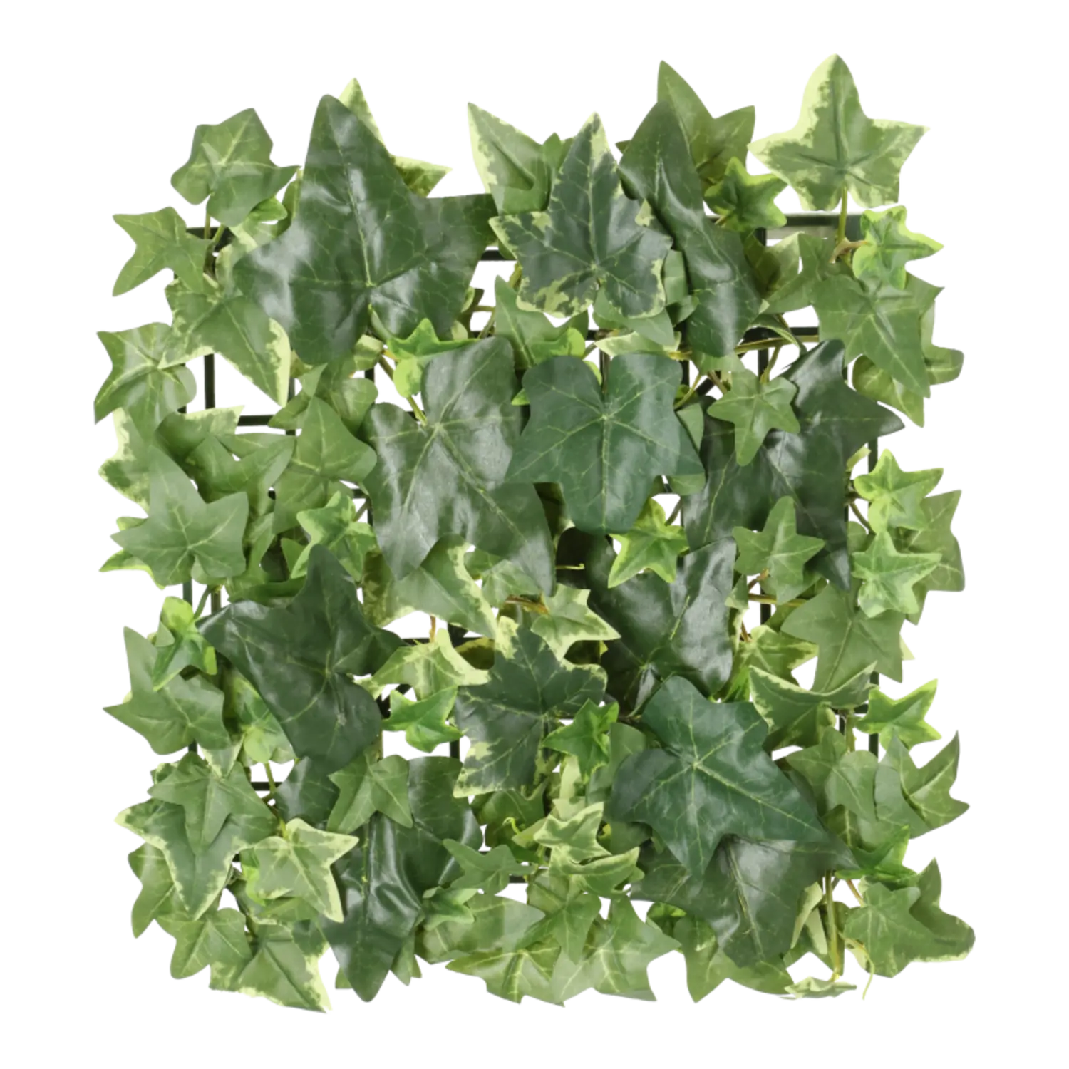 Kunstig Efeu måtte 25 x 25 cm