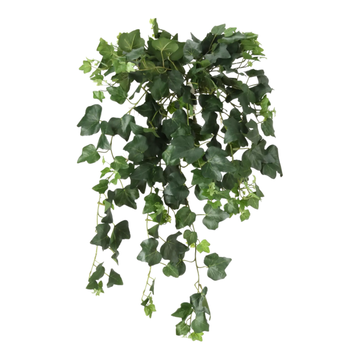 Kunstig Efeu hængeplante L: 65 cm