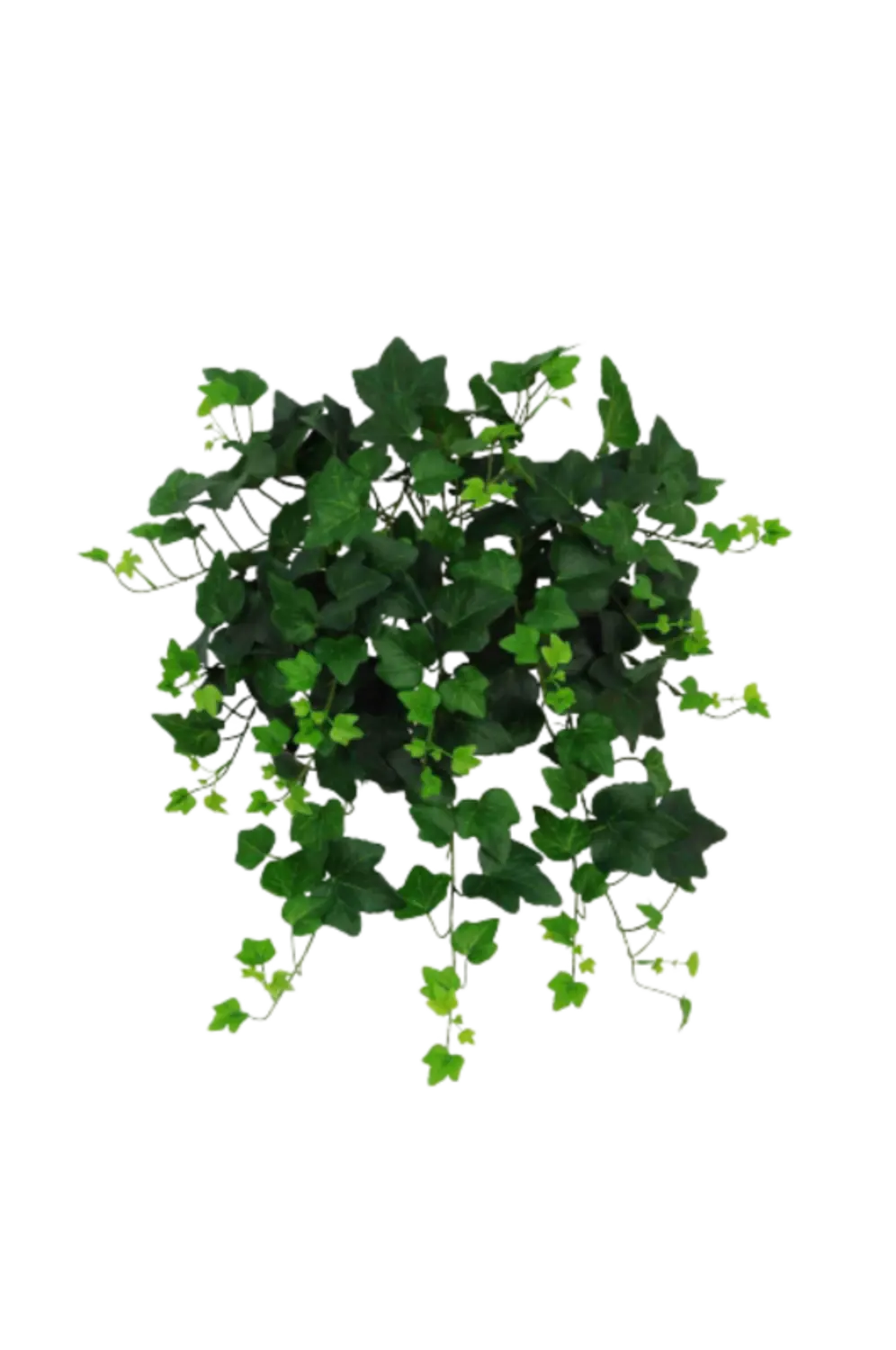 Kunstig Efeu L: 48 cm