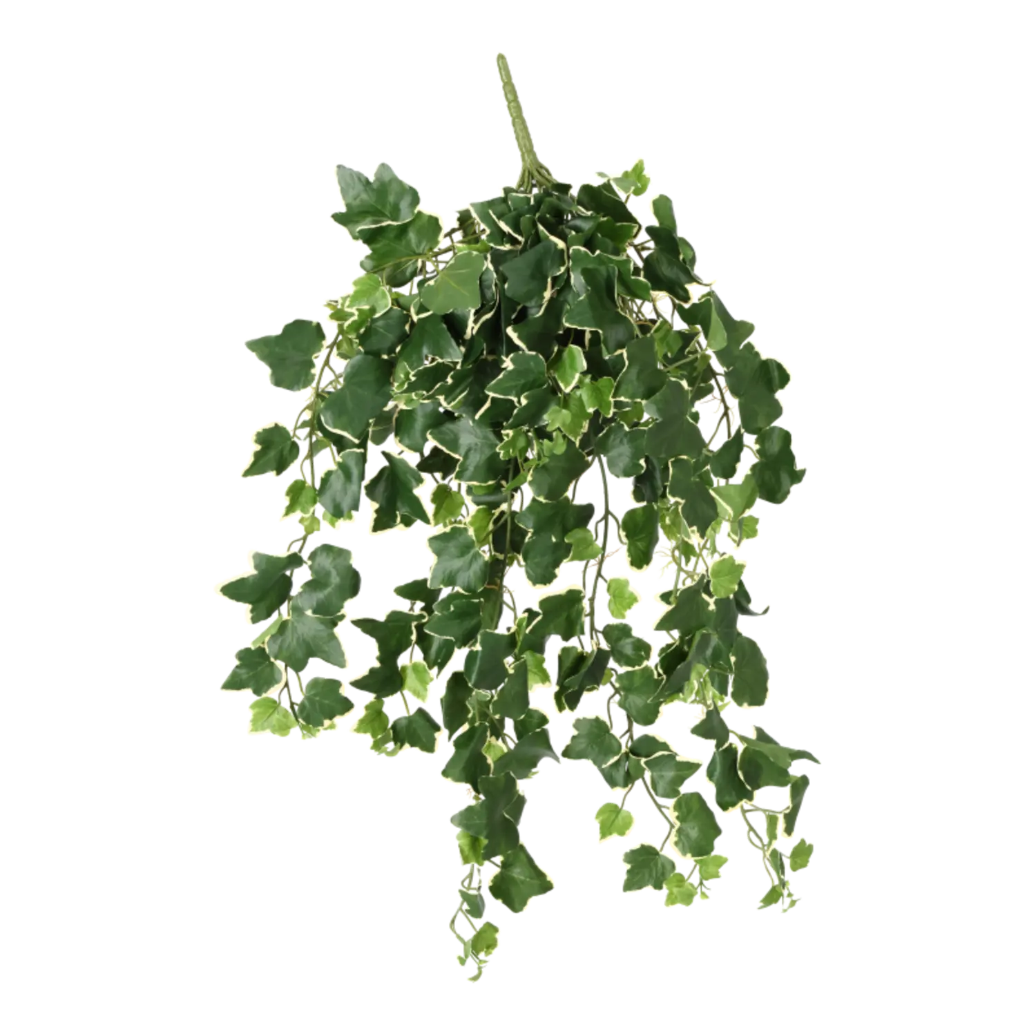 Kunstig Efeu hængeplante L: 75cm(23-049GW)