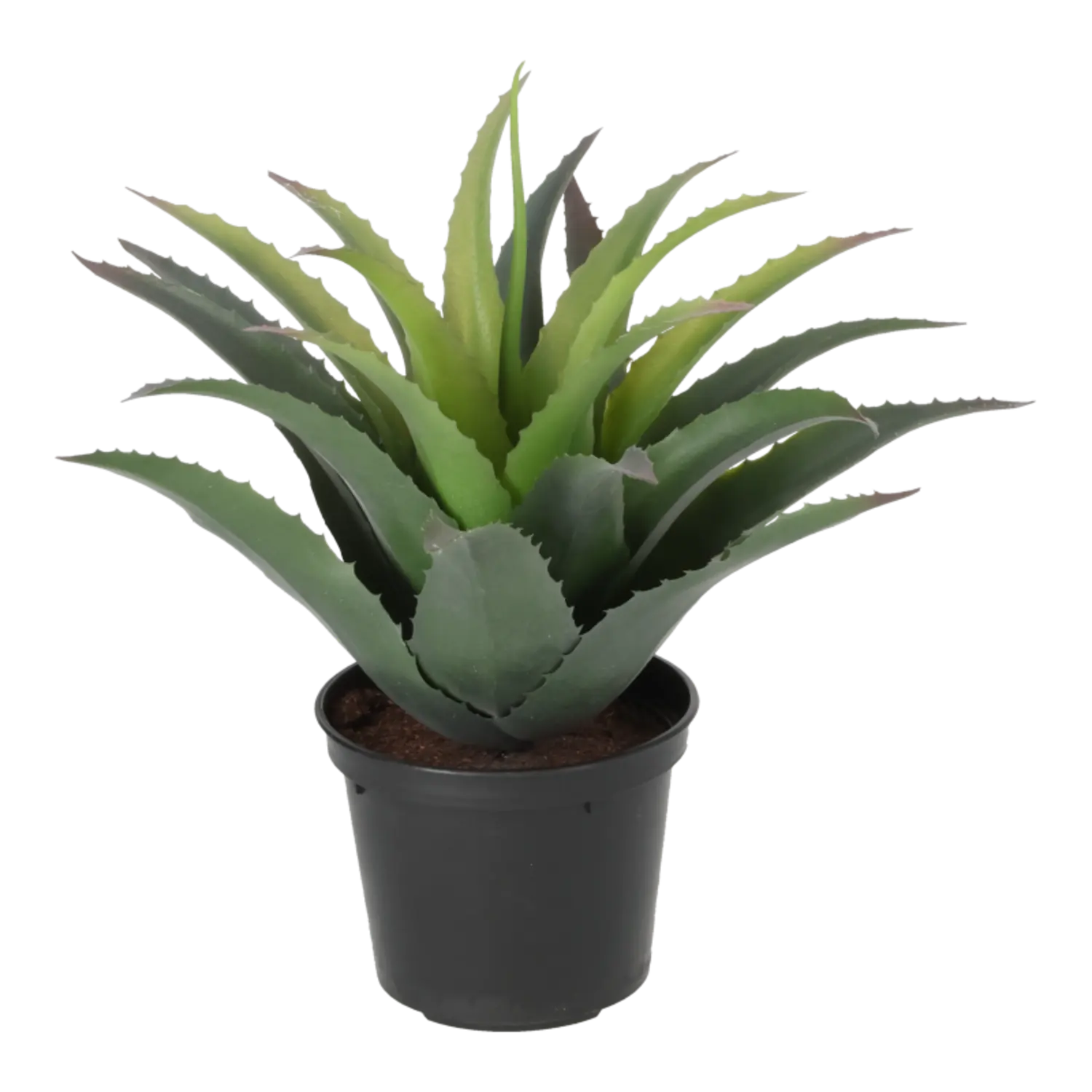 Kunstig baby Agave H: 25 cm