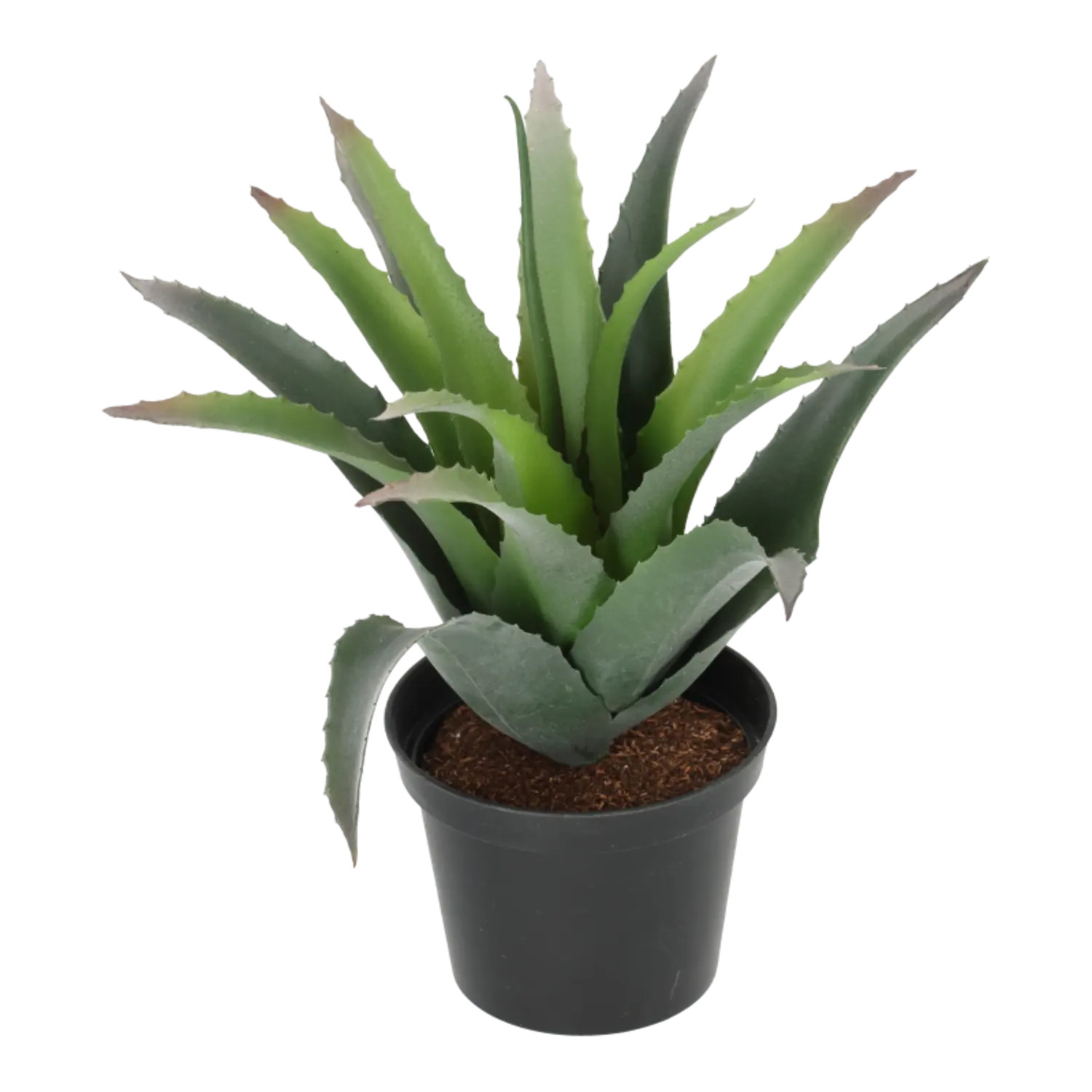 Kunstig baby Agave H: 23 cm