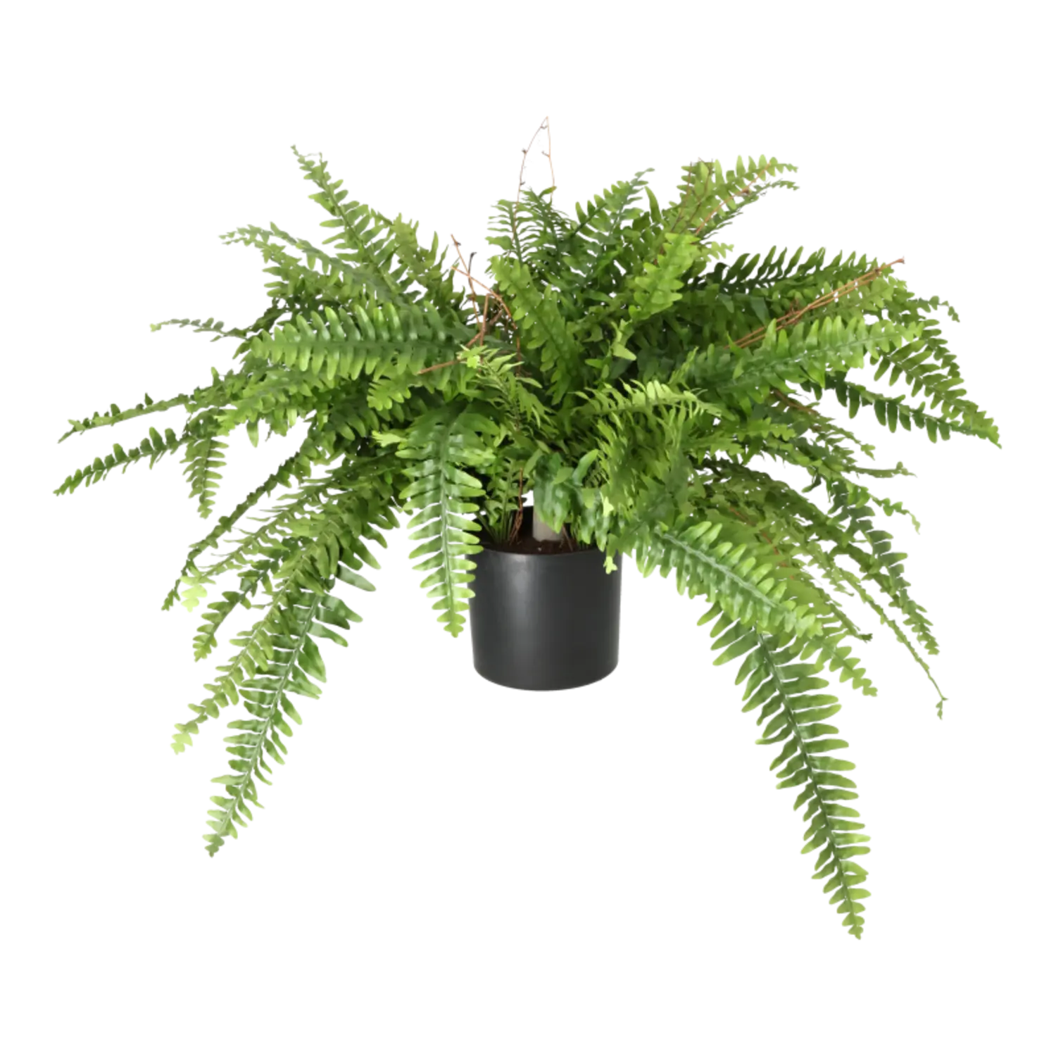 Kunstig Boston Bregne B: 100 cm(23-030)