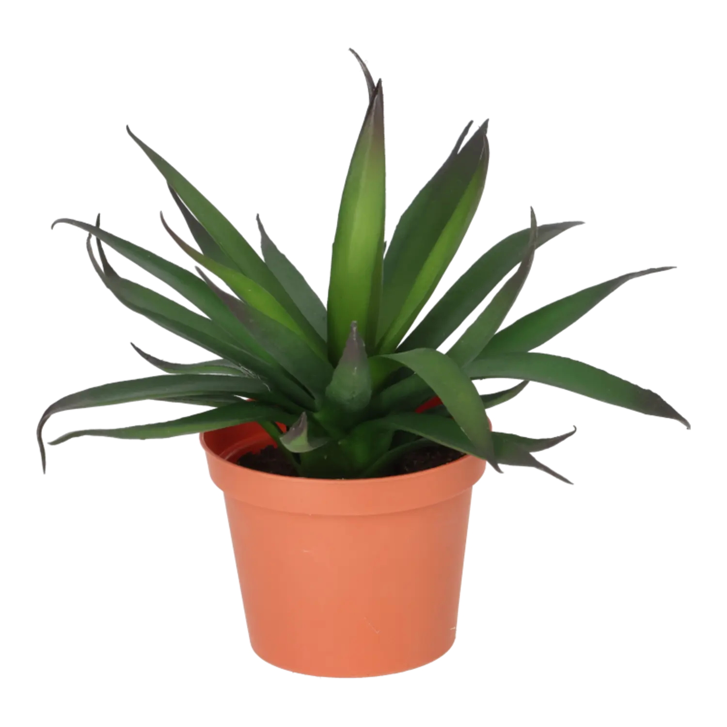 Kunstig Agave mini H: 18 cm